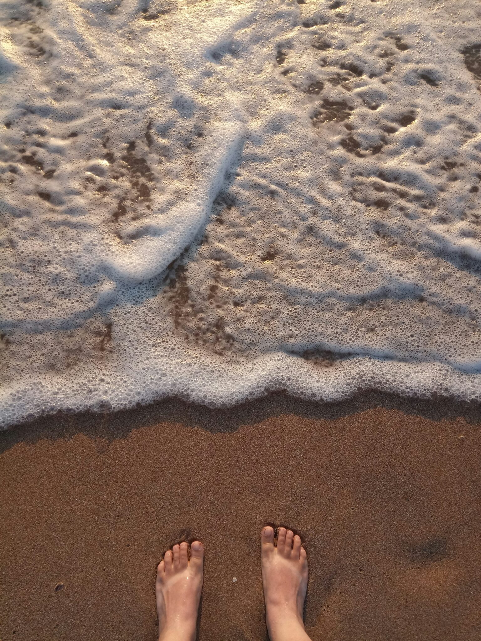 Why We Stay on the Shore - My Everyday Life